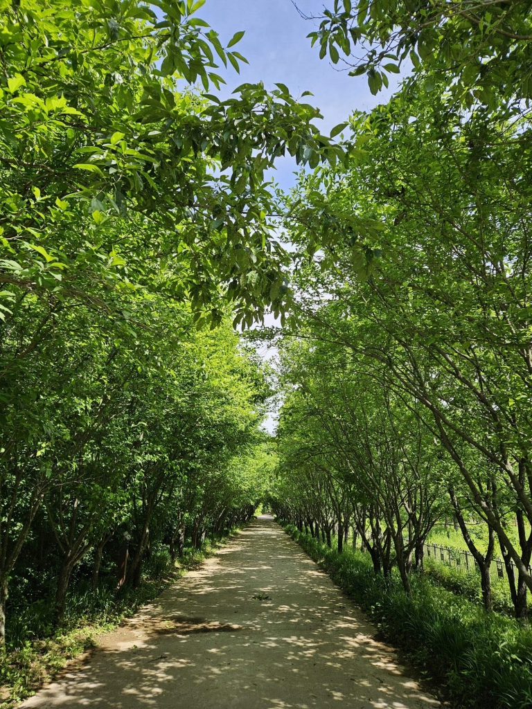 성당소식 - 20240517-모심대소풍(경주천년의숲)-2